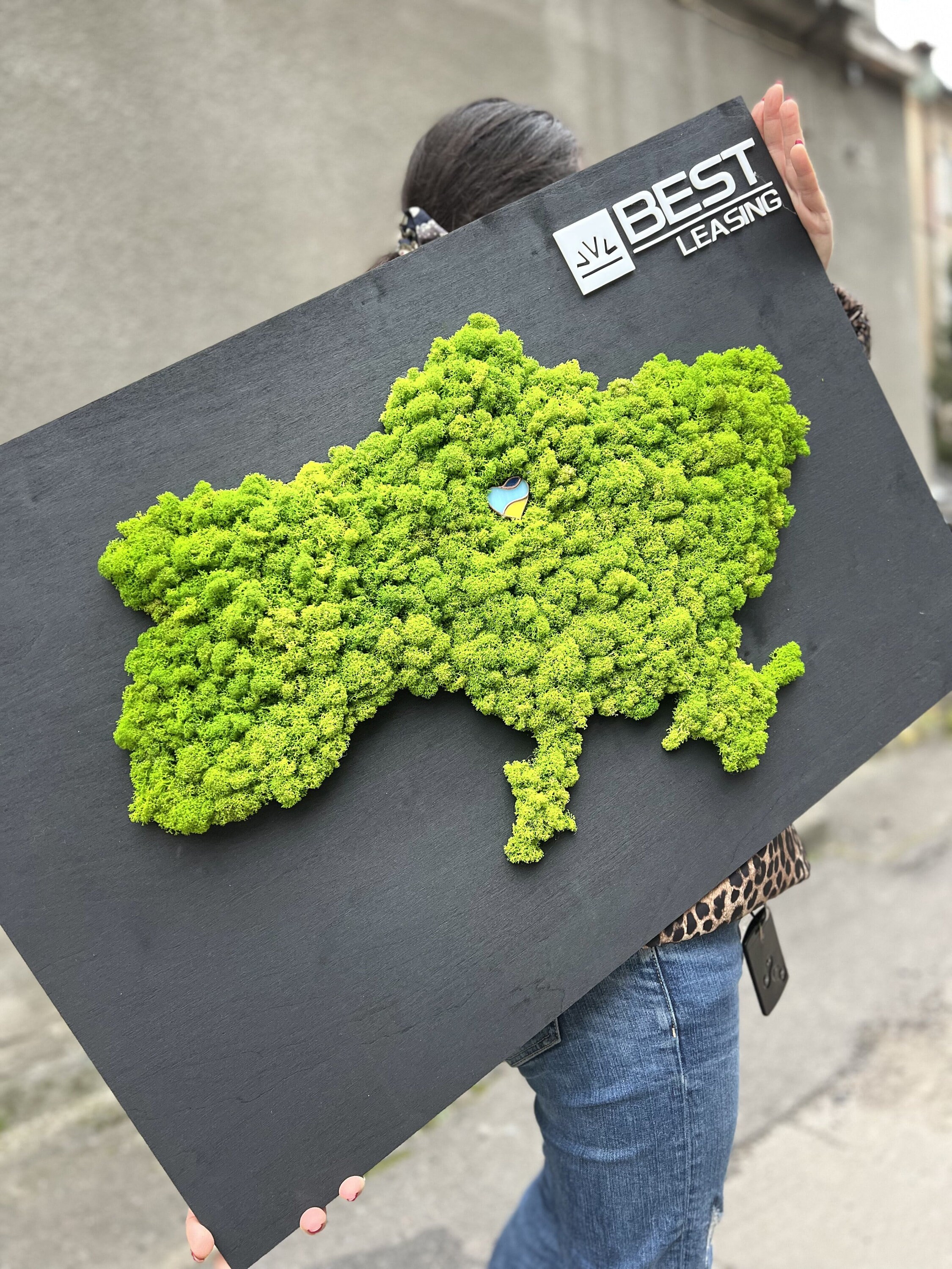 3D Moss Map Reindeer Moss Map Natural Wall Decoration Moss - Etsy Australia