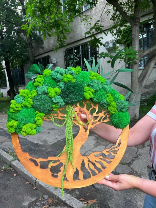 Wall Moss Decor Tree of Life Large Wall Art Tree With - Etsy