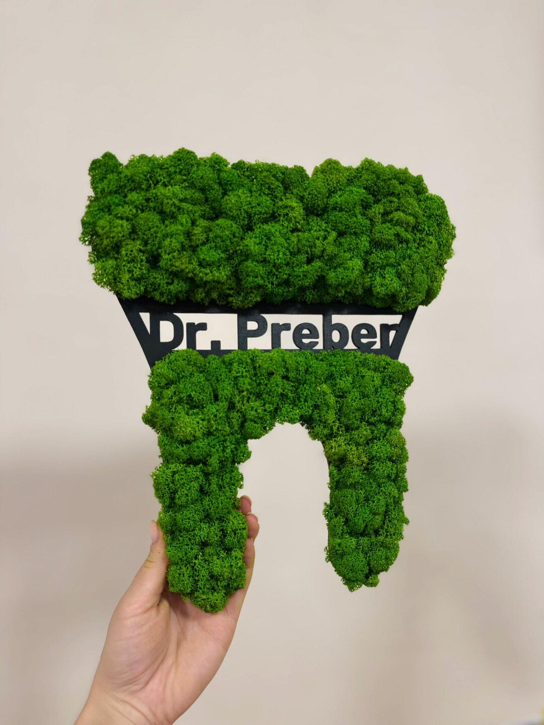 Custom Dentist Office Decor, Moss Wall Art, Personalized Moss Tooth ...