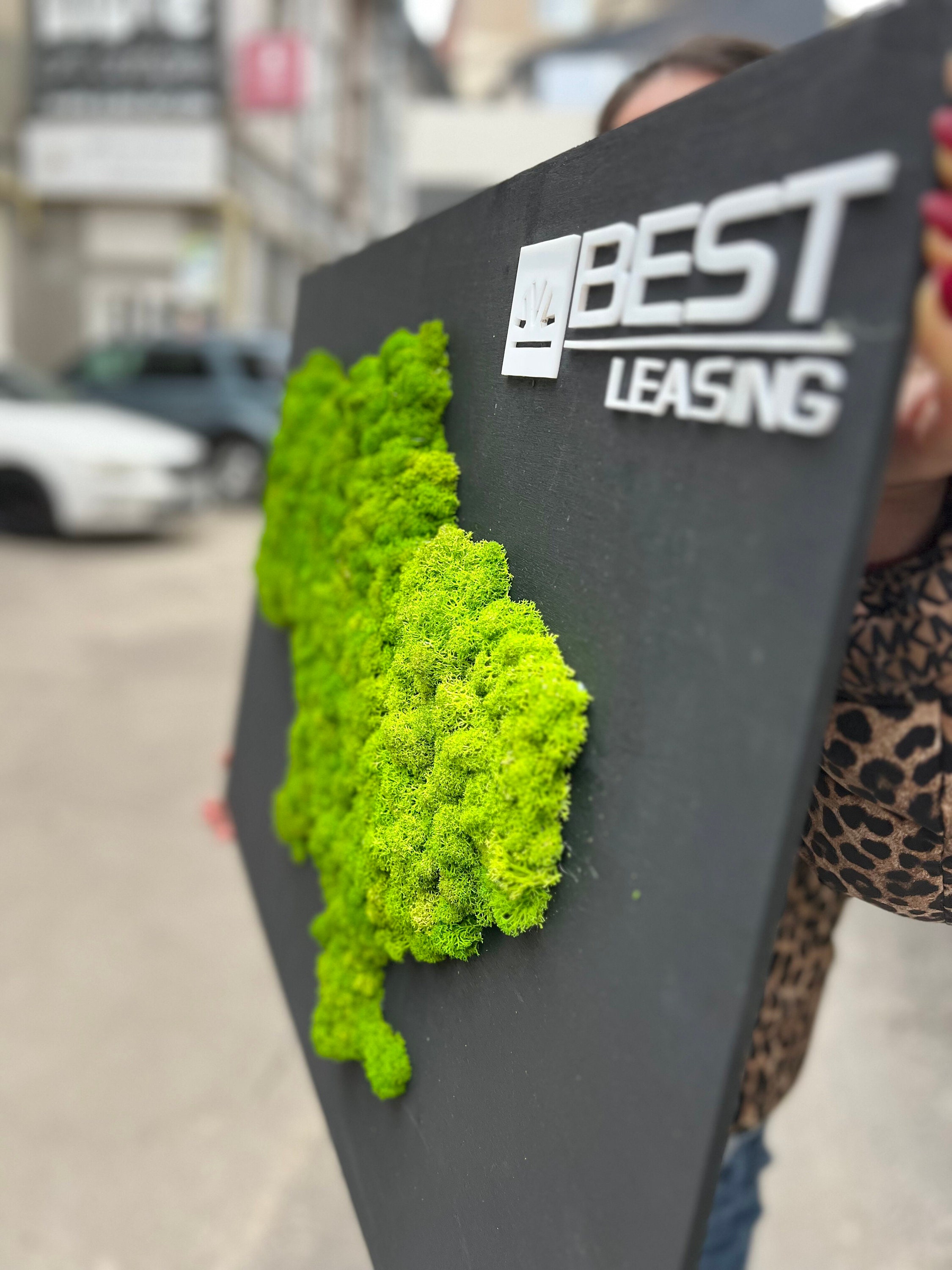 3D Moss Map, Reindeer Moss Map, Natural Wall Decoration, Moss World Map ...