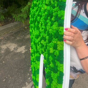 Eco-friendly Moss Tooth Wall Decor Natural Greenery Sign for Dentist ...