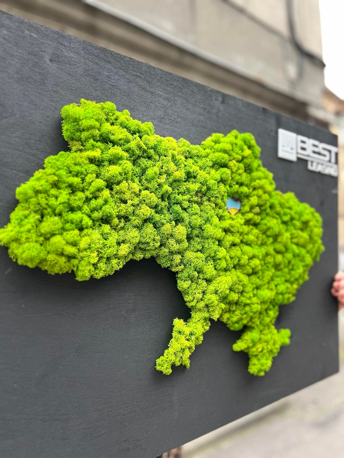3D Moss Map, Reindeer Moss Map, Natural Wall Decoration, Moss World Map ...