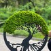 Wall Moss Decor, Tree of Life, Large Wall Decor, Tree With Stabilized ...
