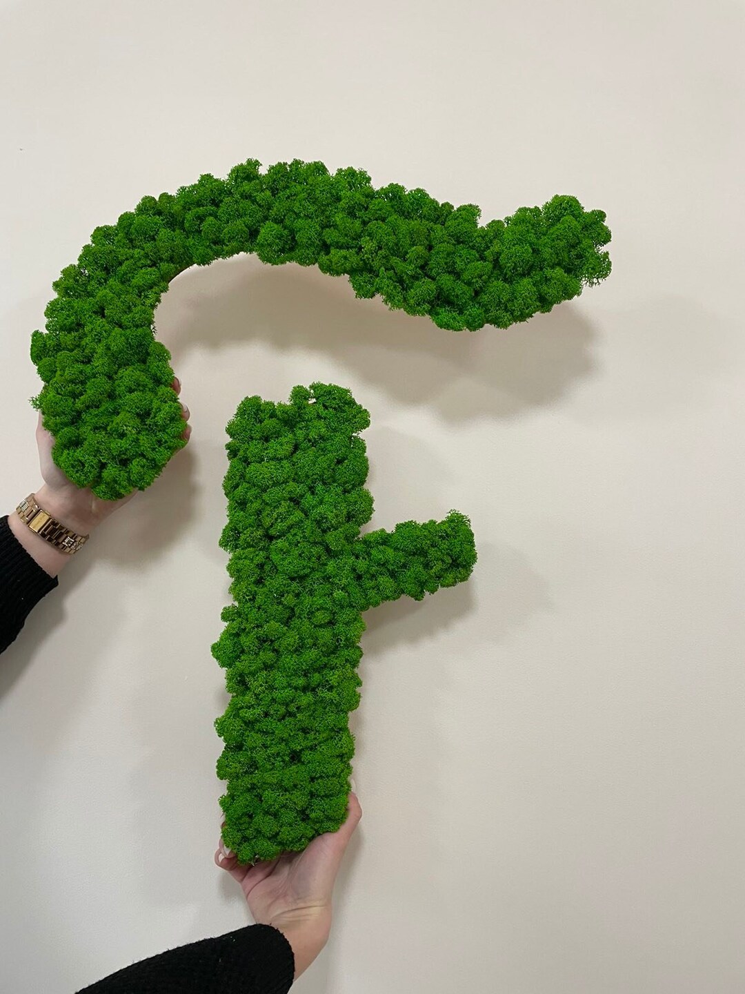 Business Logo Moss Sign, Personalized Letter, Real Moss Custom Logo ...