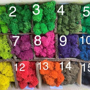 Wooden Clock, Live Stabilized Moss Wall Clock, Home Decor, Gift for ...