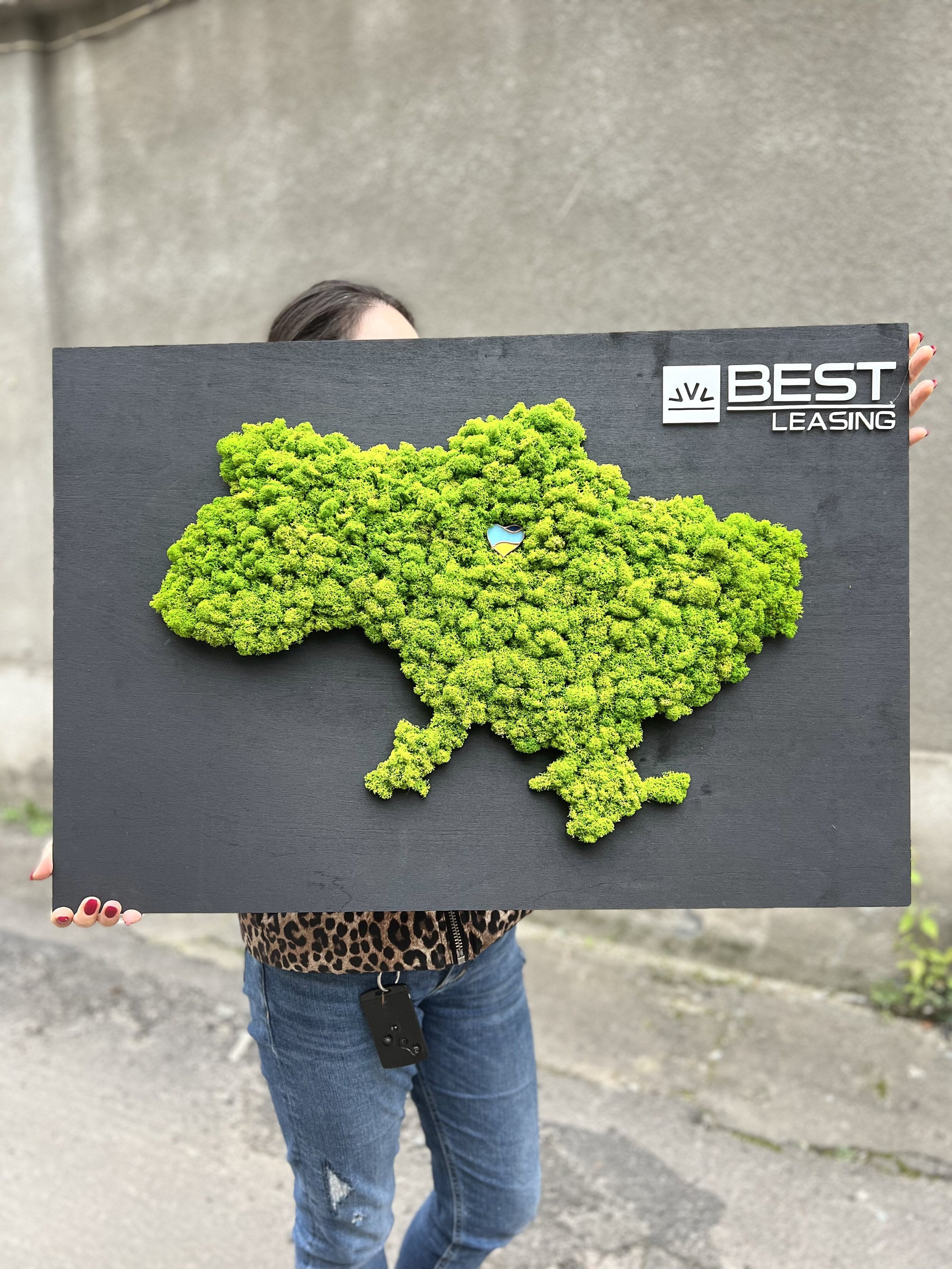 3D Moss Map, Reindeer Moss Map, Natural Wall Decoration, Moss World Map ...