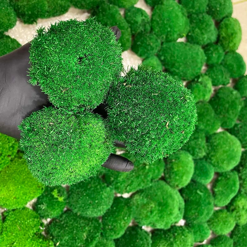Moss Balls - Etsy