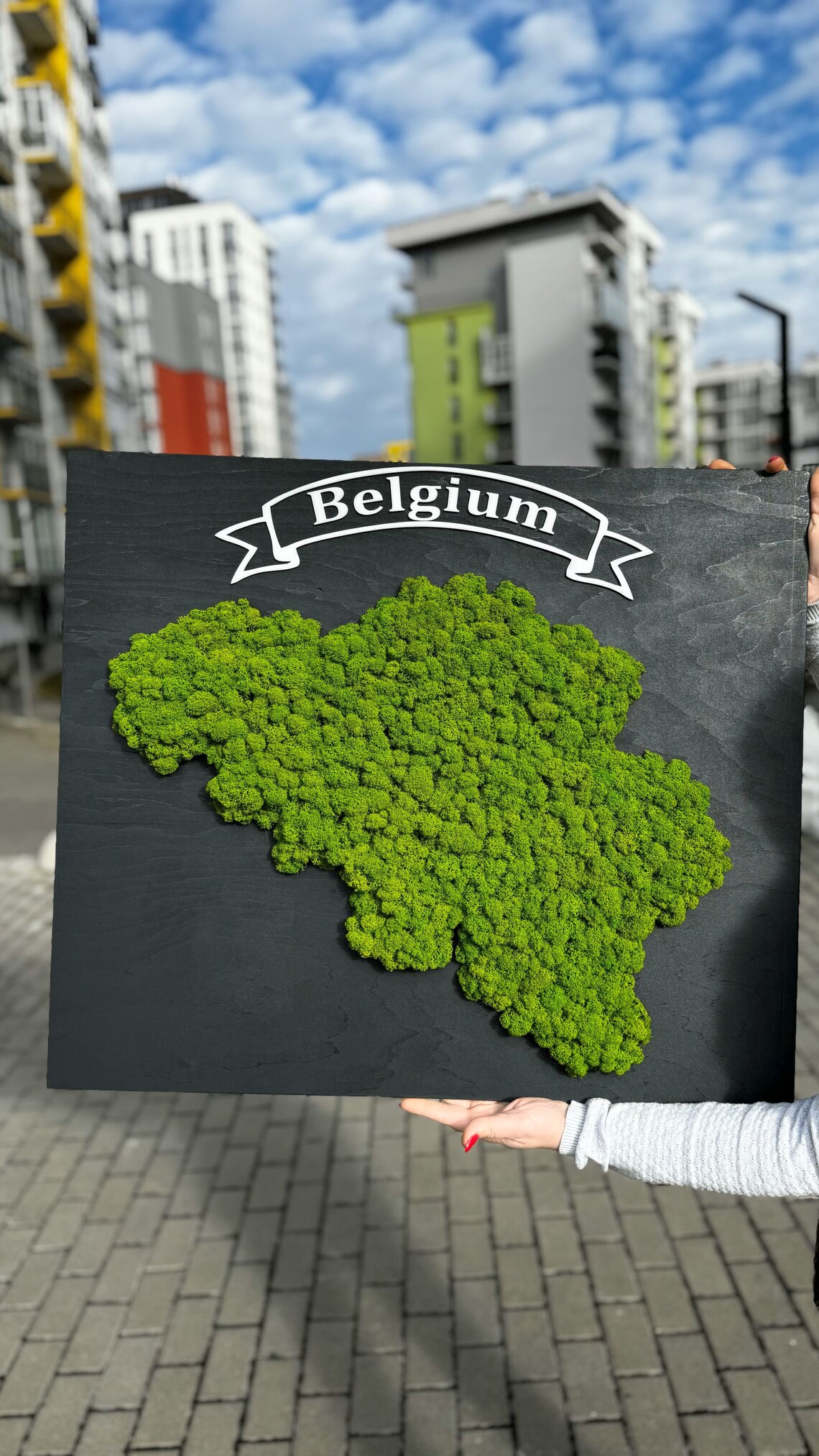 Custom Moss Map of Any Country, Custom Design Wall Hanging Moss Map ...
