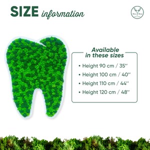 Eco-friendly Moss Tooth Wall Decor Natural Greenery Sign for Dentist ...