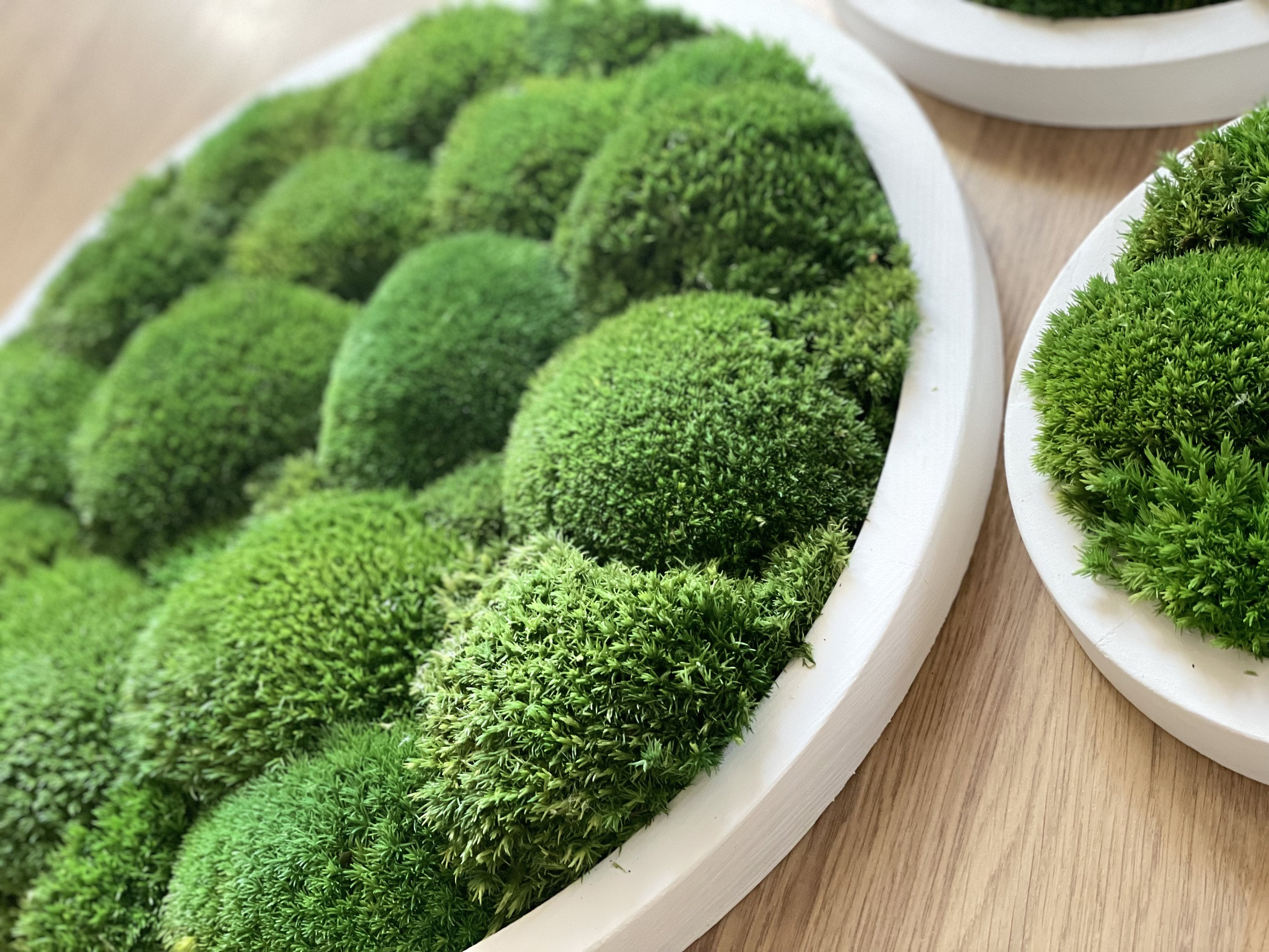 Moss Wall Art, Preserved Moss Wall Art, Moss Art, Live Moss, - Etsy