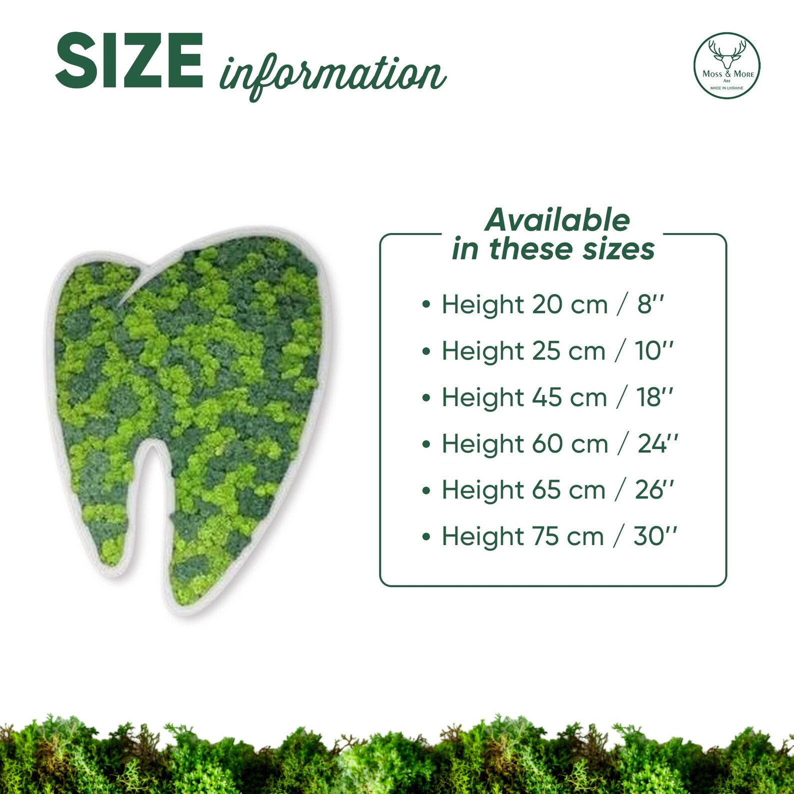 Eco-friendly Moss Wall Tooth, Dental Office Wall Tooth, Moss Art ...