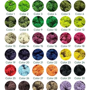 Custom Moss Map of Any Country, Custom Design Wall Hanging Moss Map ...