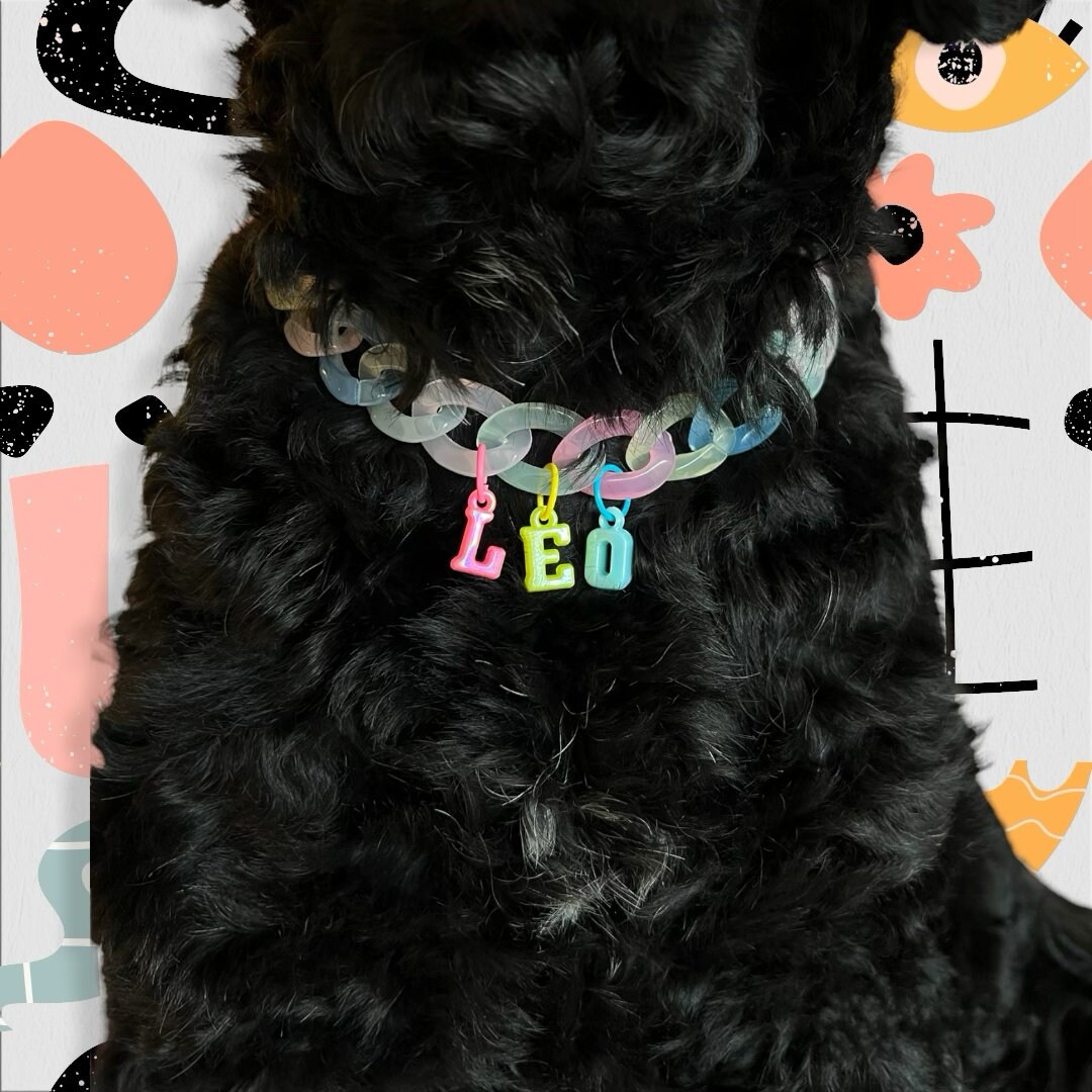 Handmade Custom Pet Necklace: Chain Dog & Cat Jewelry - Etsy