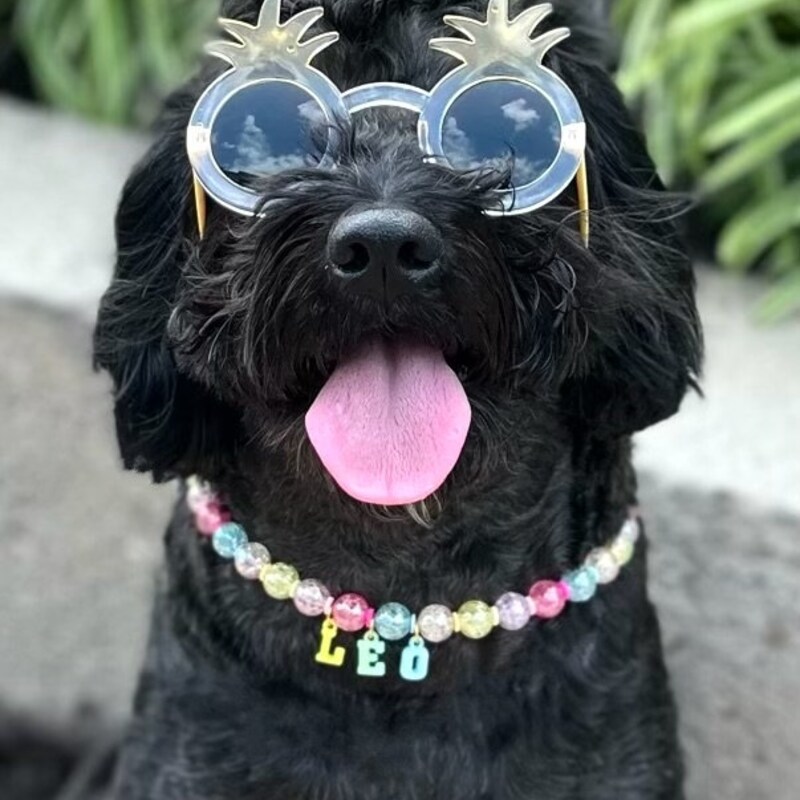 Jewelry for Dogs - Etsy