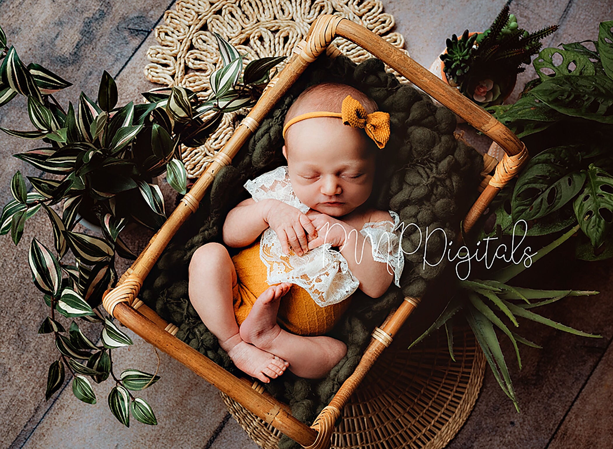 Digital Download Newborn, Boho Digital, Digital Background, Digital ...