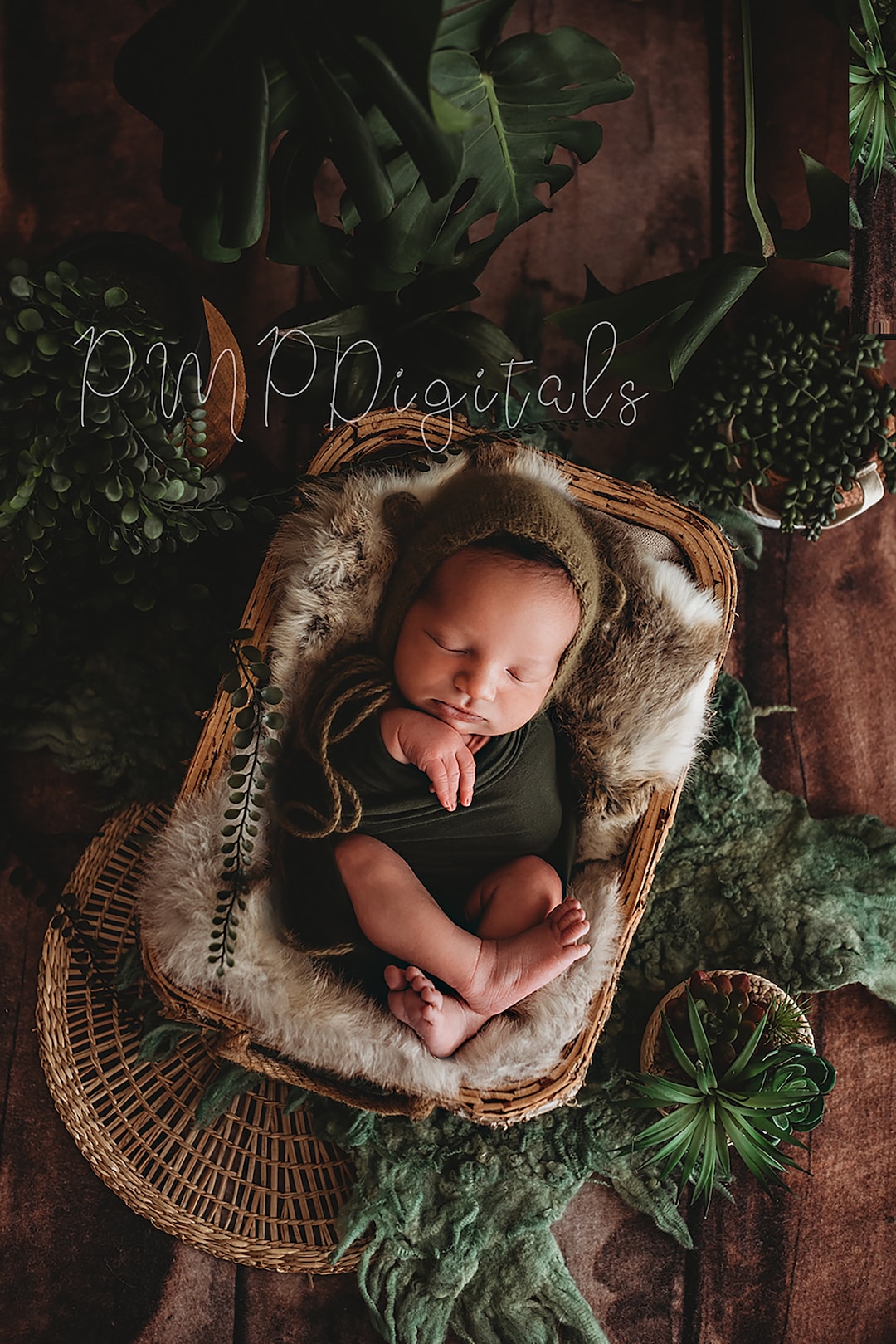 Digital Download Newborn, Digital Background, Digital Backdrop, Forest ...