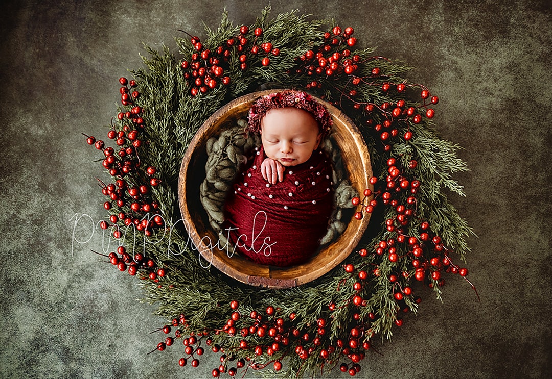 Digital Download Newborn, Christmas Digital Background, Round Digital ...
