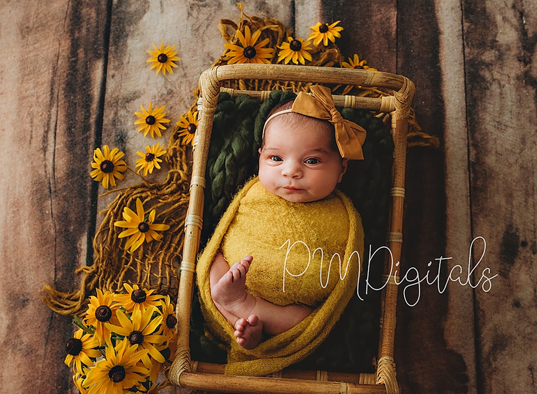 Newborn Digital Backdrop Sunflowers ,newborn Photography Background ...