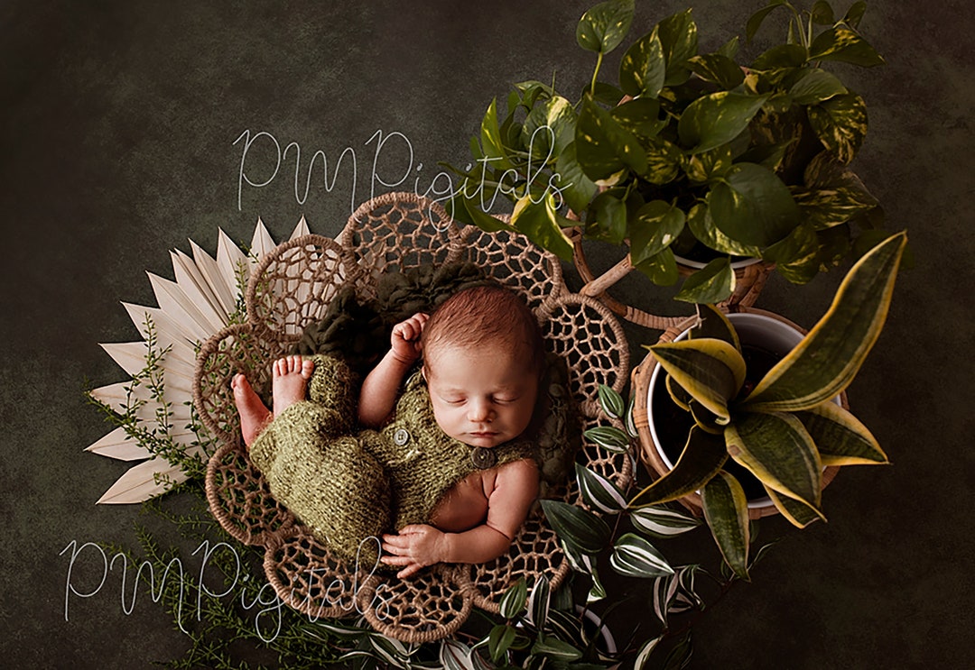 Digital Download Newborn, Digital Background, Digital Backdrop, Boho ...