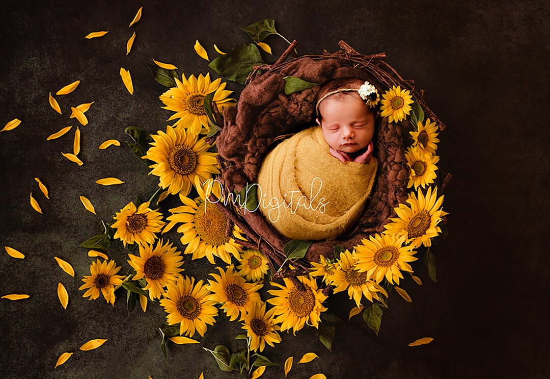 Newborn Digital Backdrop Sunflowers ,newborn Photography Background ...