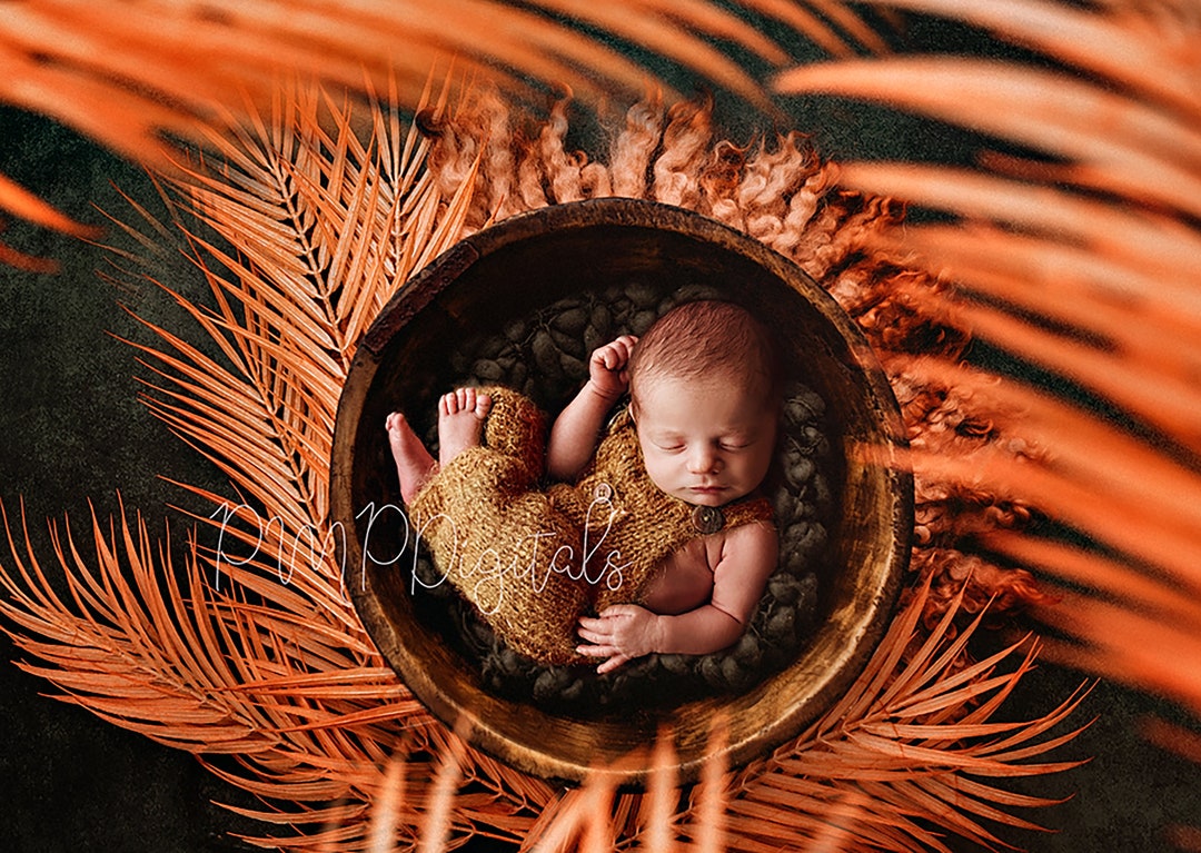 Digital Download Newborn, Digital Background, Orange, Green, Boho ...