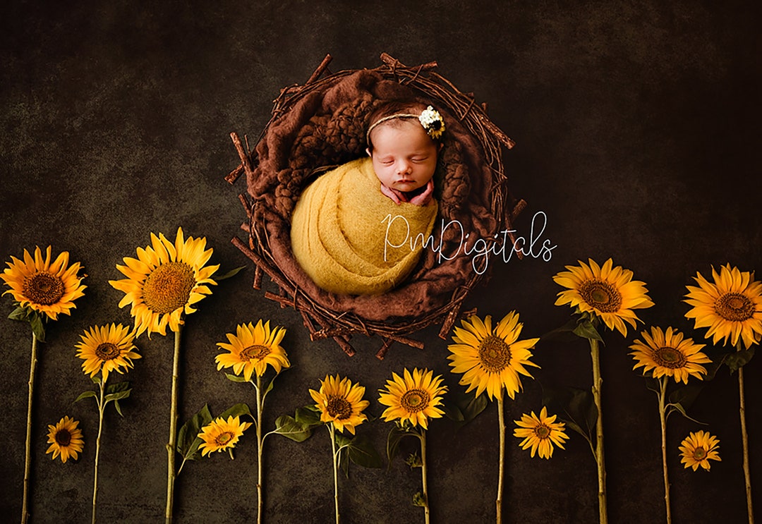 Newborn Digital Backdrop Sunflowers Forest ,newborn Photography ...