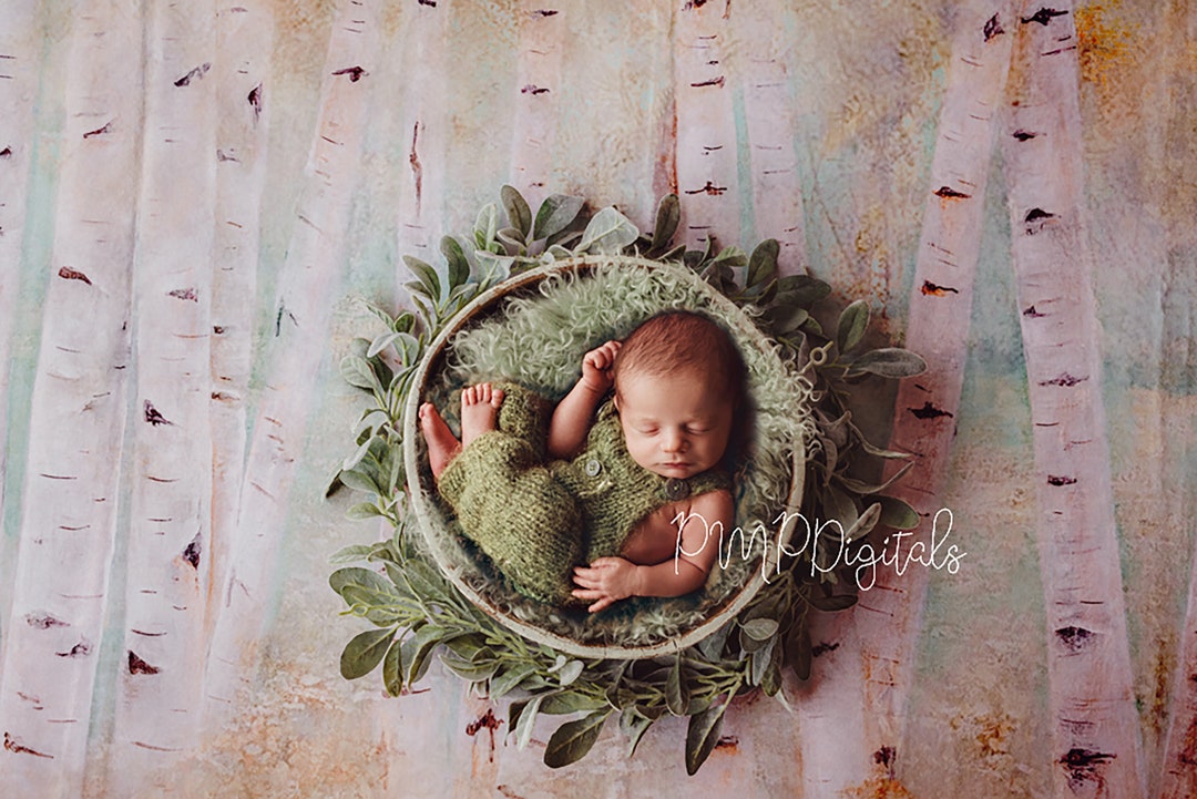 Digital Download Newborn Birch, Woodland Digital, Digital Background ...