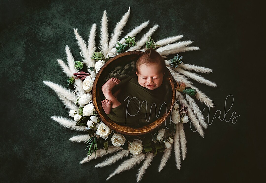Digital Download Newborn, Digital Background, Digital Backdrop, Green ...