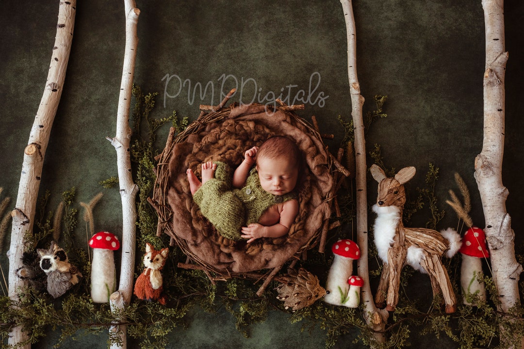 Newborn Digital Background Woodland Nest Deer, Digital Download Newborn ...