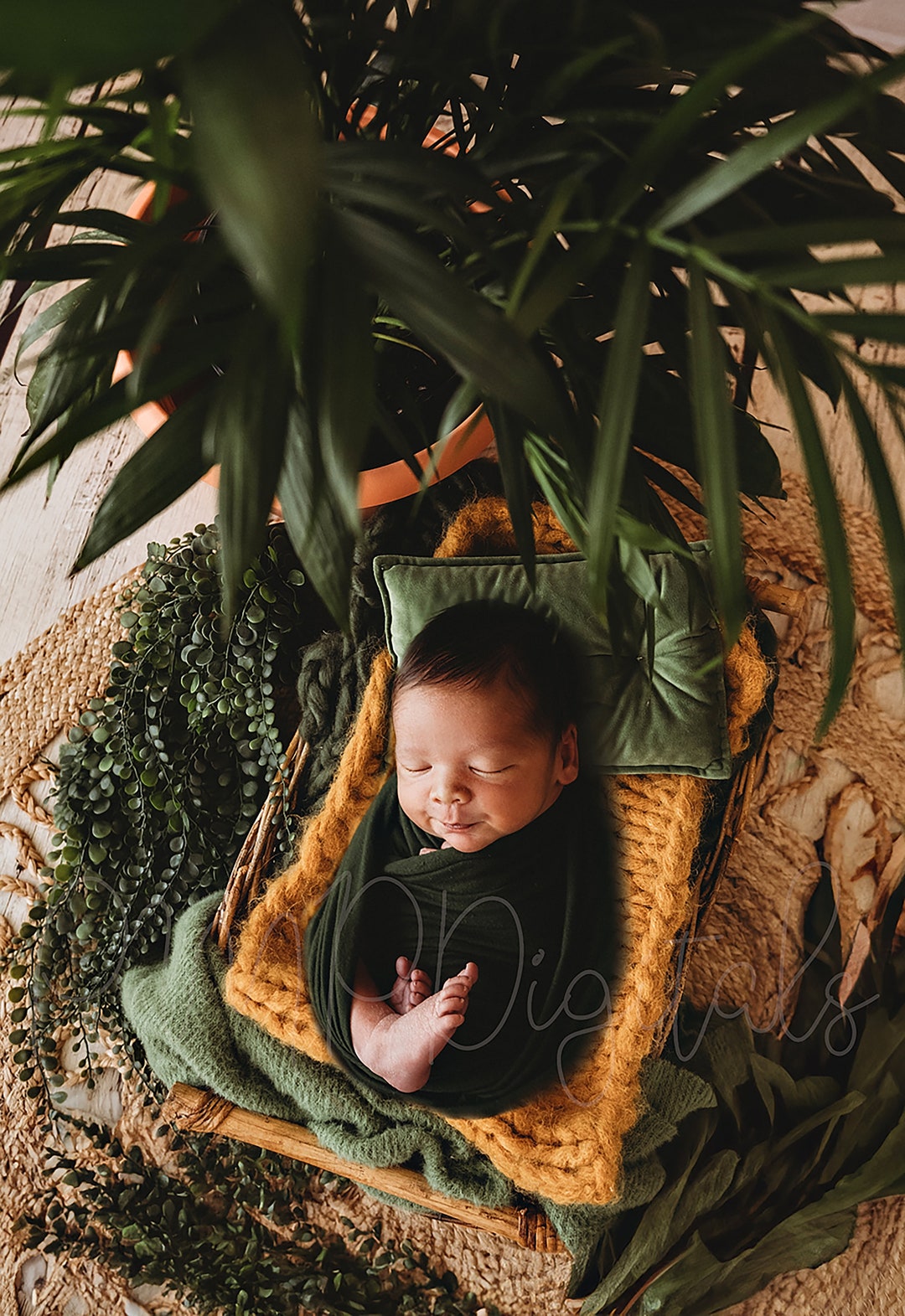 Digital Download Newborn, Digital Background, Digital Backdrop, Forest ...