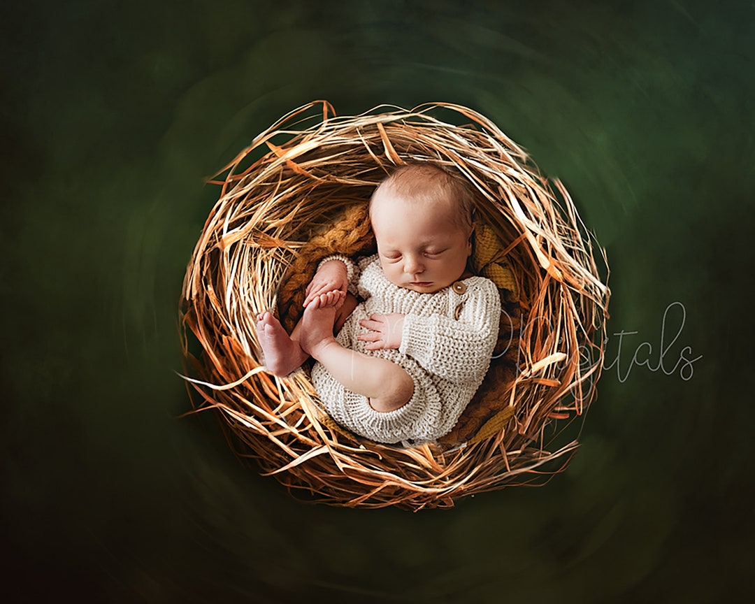 Newborn Digital Background Woodland Nest Deer, Digital Download Newborn ...