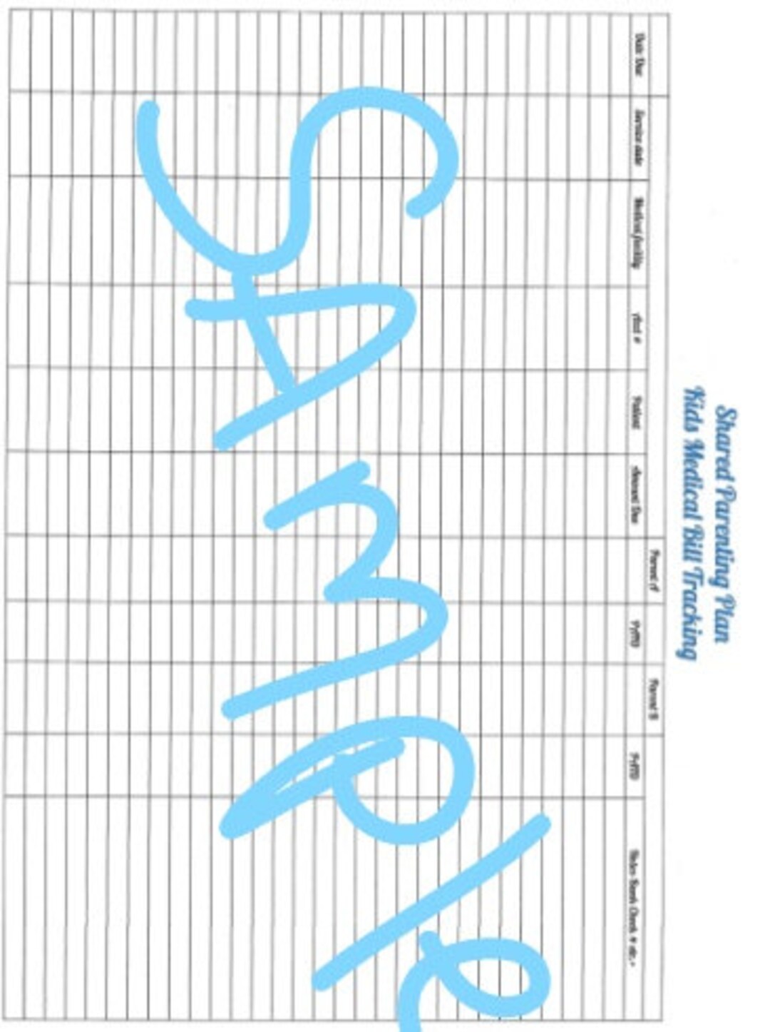 Shared Parenting Plan Templates - Etsy