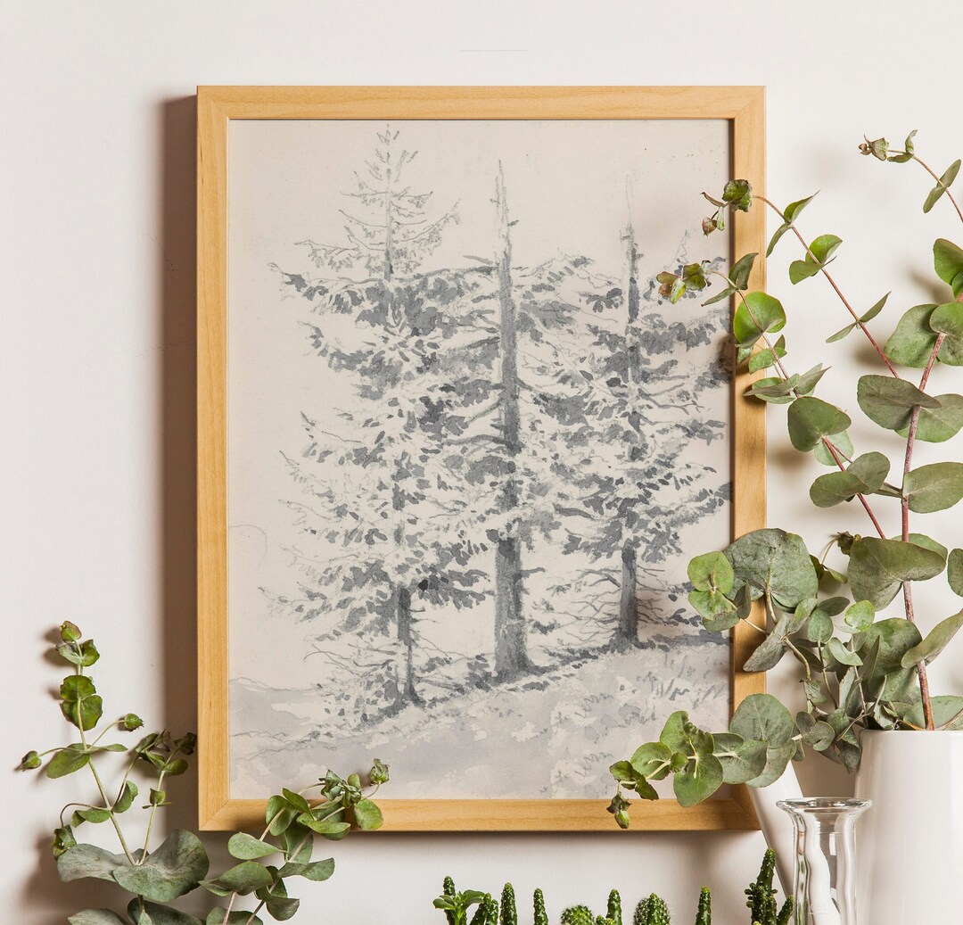 Study of Three Trees Drawing, Holiday Decor, Country Winter Trees ...