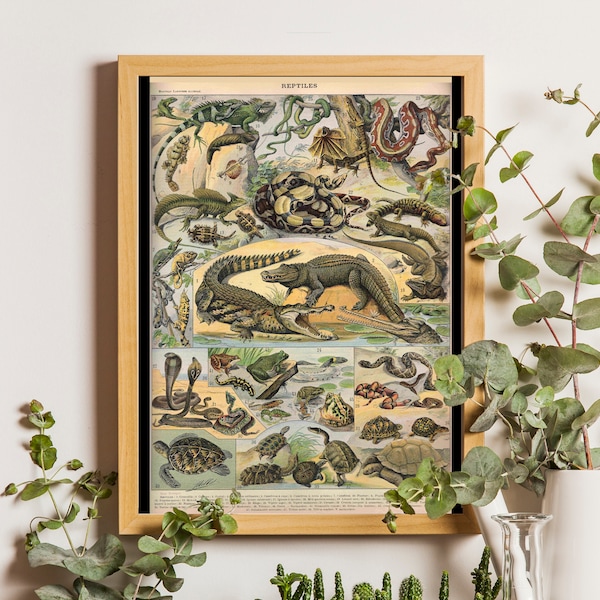 Reptile Print - Etsy