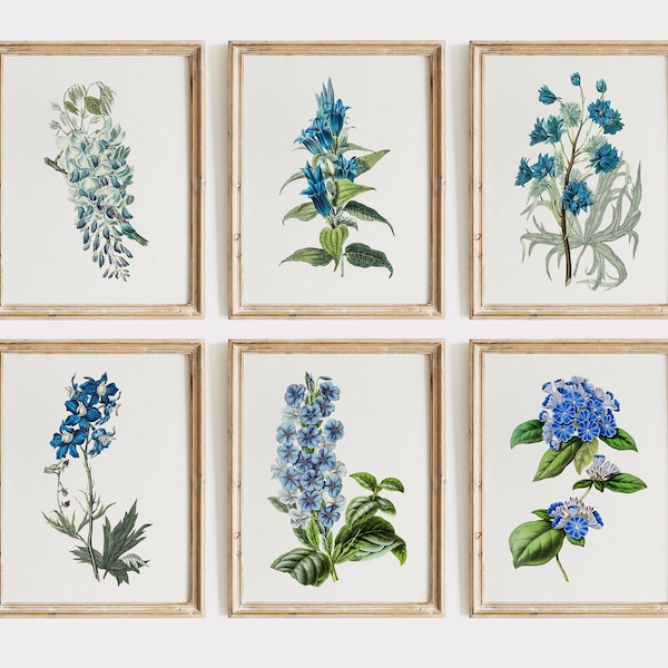 Blue Botanical Print - Etsy