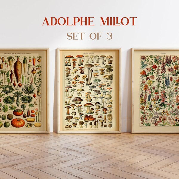 Adolphe Millot - Etsy