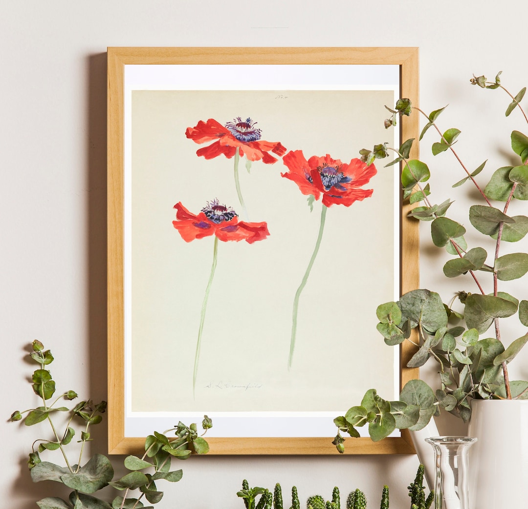 Red Poppy Wall Art, Poppies Art Print, Vintage Botanical Print, Antique ...