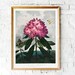 The Pontic Rhododendron Thornton Botanical Print Wall Art - Etsy