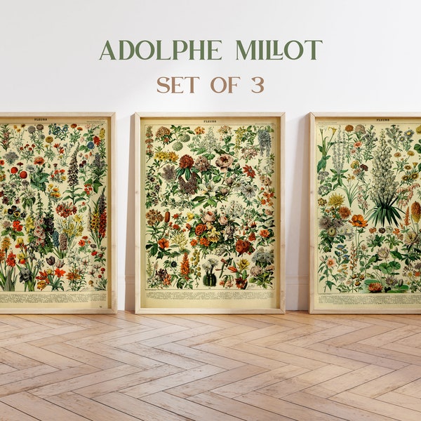 Botanical Poster - Etsy