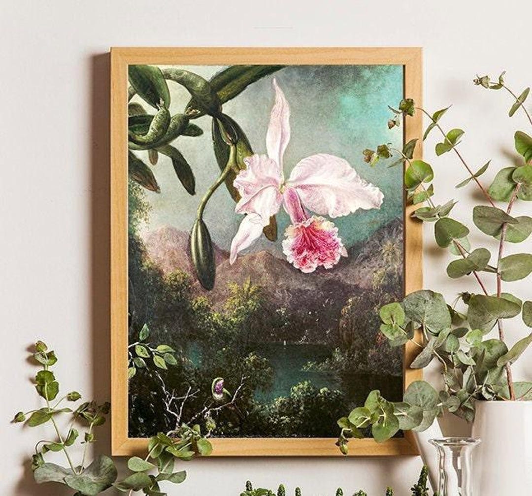 Pink Orchid Flower Botanical Print, Vintage Print, Vintage Orchid Print ...