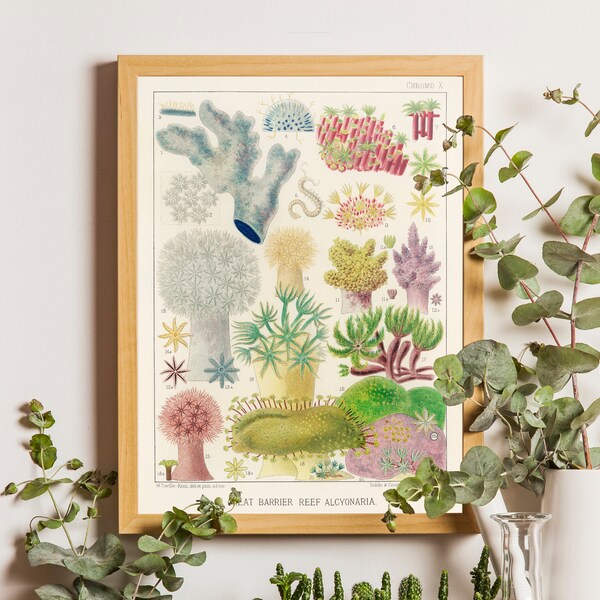 Coral Reef Print - Etsy