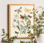 Botanical Alphabet Chart / ABC Poster - Etsy Canada