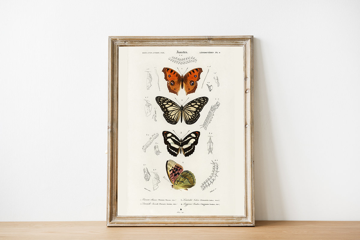 BUTTERFLY Poster Butterfly Print Butterflies Wall Decor | Etsy