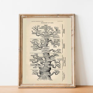 Tree of Life Print, Haeckel Scientific Illustration, Natural Science ...