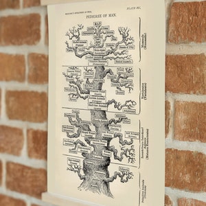 Tree of Life Print, Haeckel Scientific Illustration, Natural Science ...