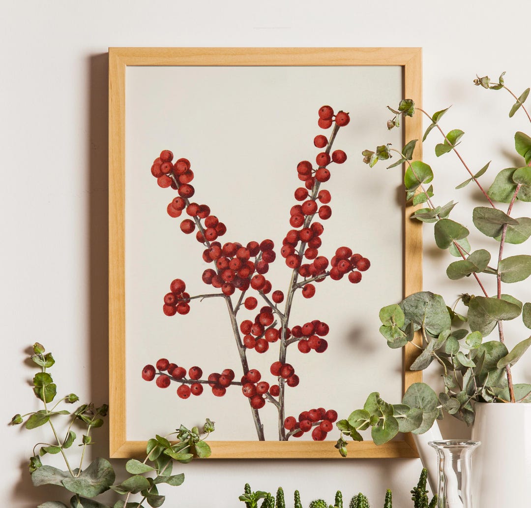 Winter Berry Branch Print, Vintage Botanical Wall Art, Printed Art ...