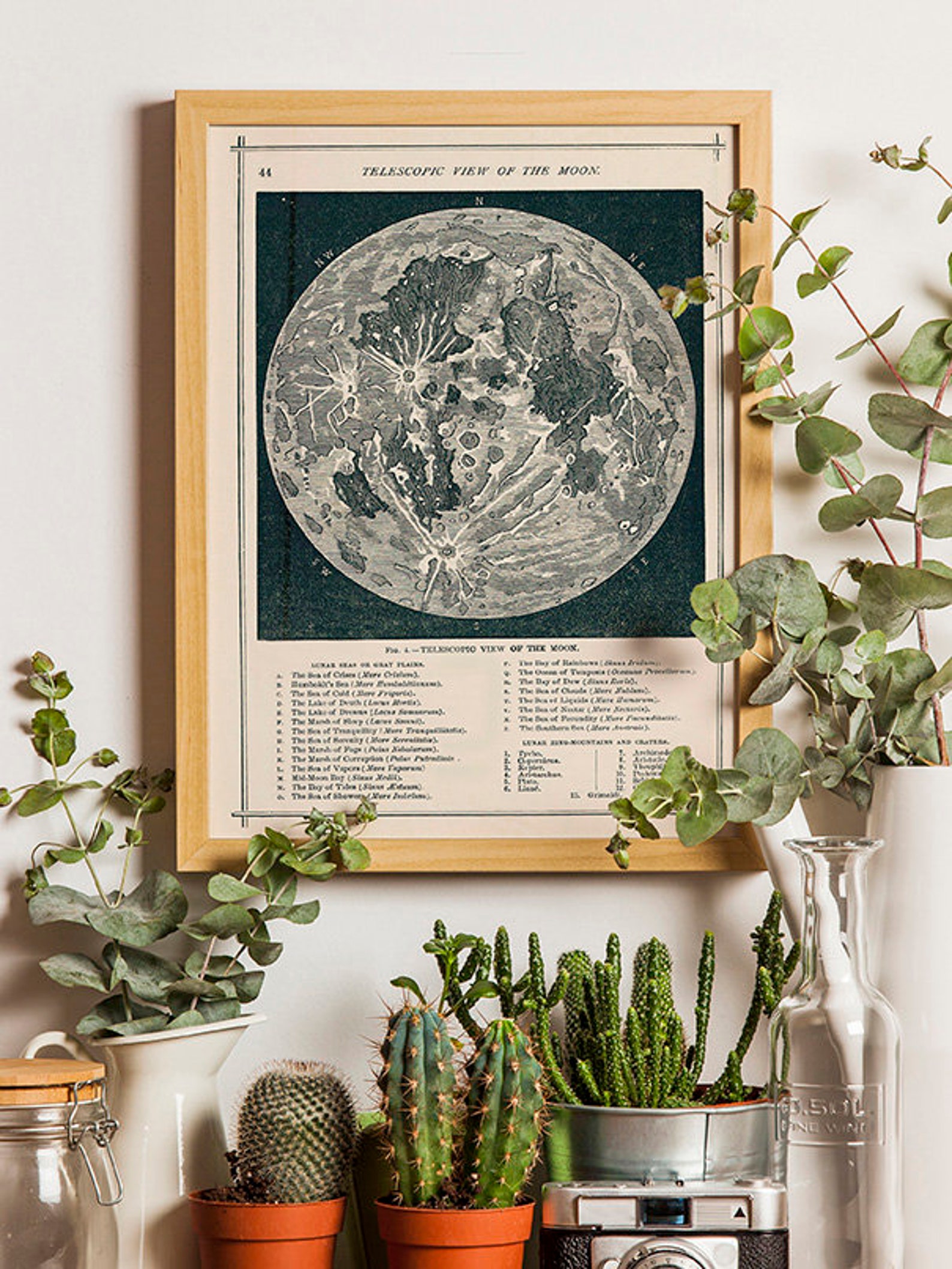 Vintage Moon Map Antique Moon Print Vintage Lunar Map of the | Etsy Canada