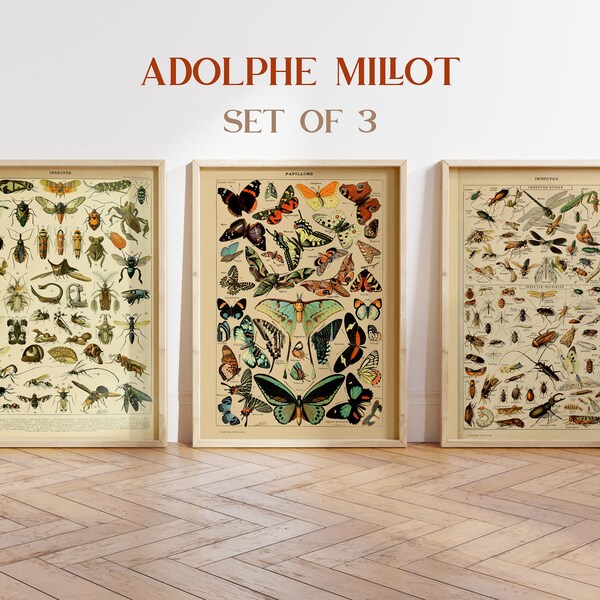 Insect Poster - Etsy