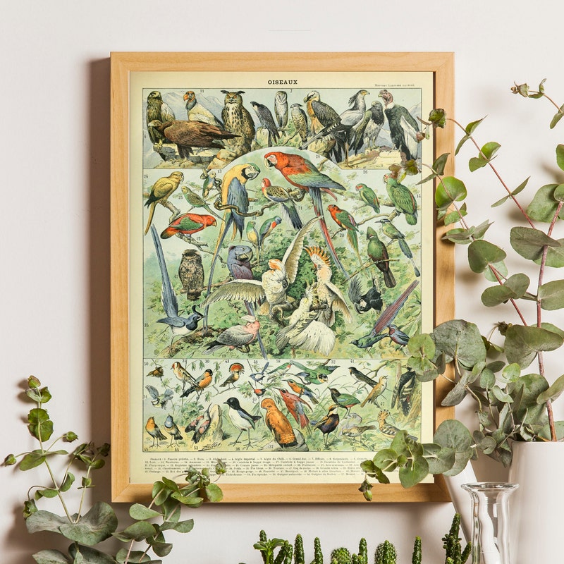 Bird Poster - Etsy