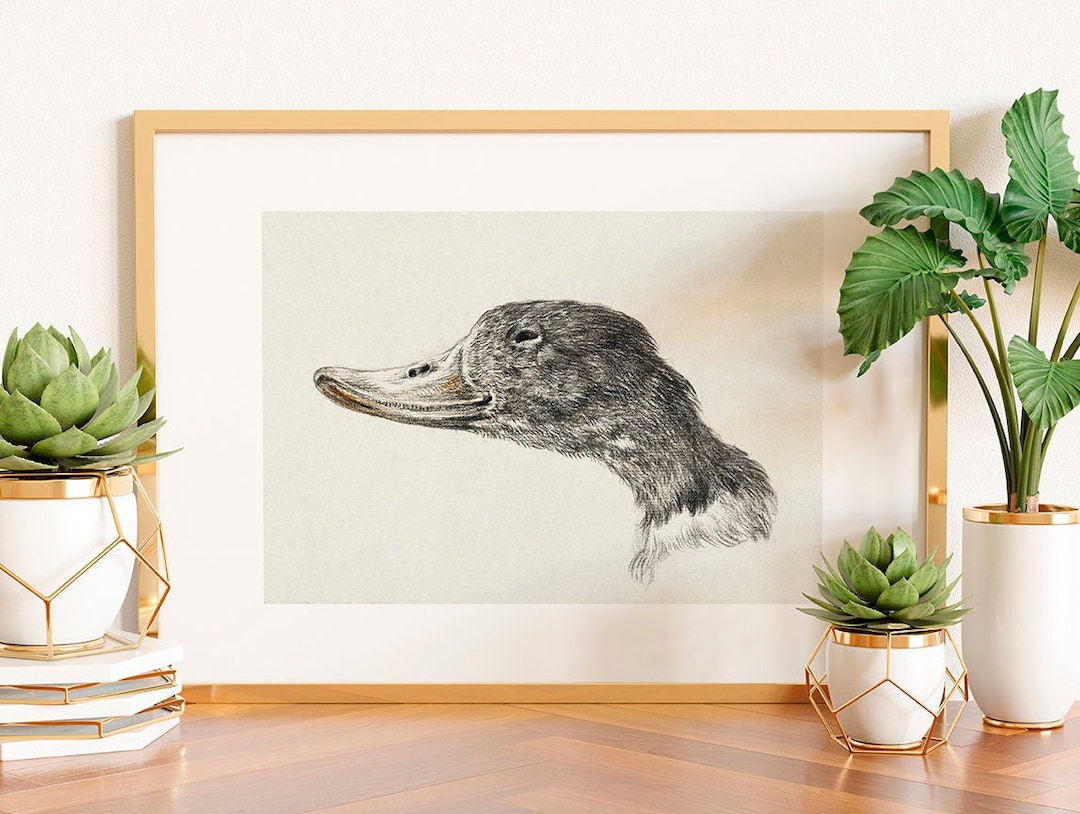 Vintage Duck Print, Vintage Nursery Art, Duck Drawing Wall Art, Nursery ...